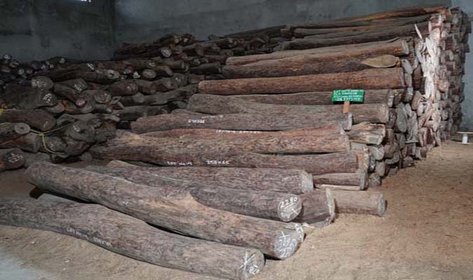 ODISHA FOREST DEVELOPEMENT CORPORATION